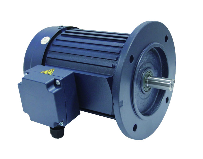 GH Horizontal Gear Motor - servomotorgearbox