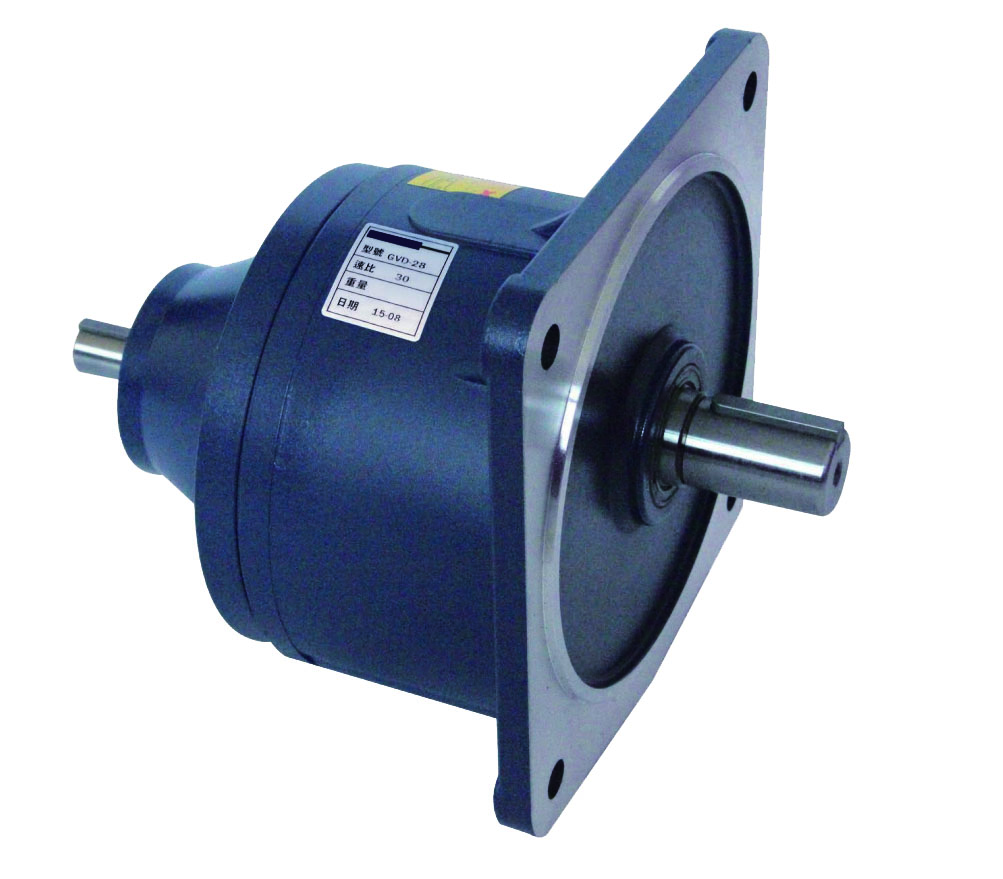 GVD Vertical Double Shaft Gear Reducer - servomotorgearbox