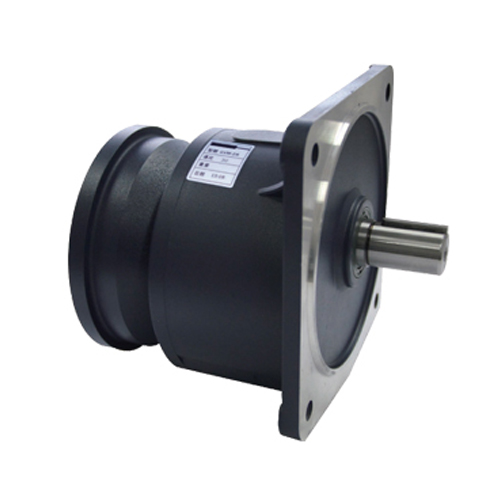 GVD Vertical Double Shaft Gear Reducer - servomotorgearbox